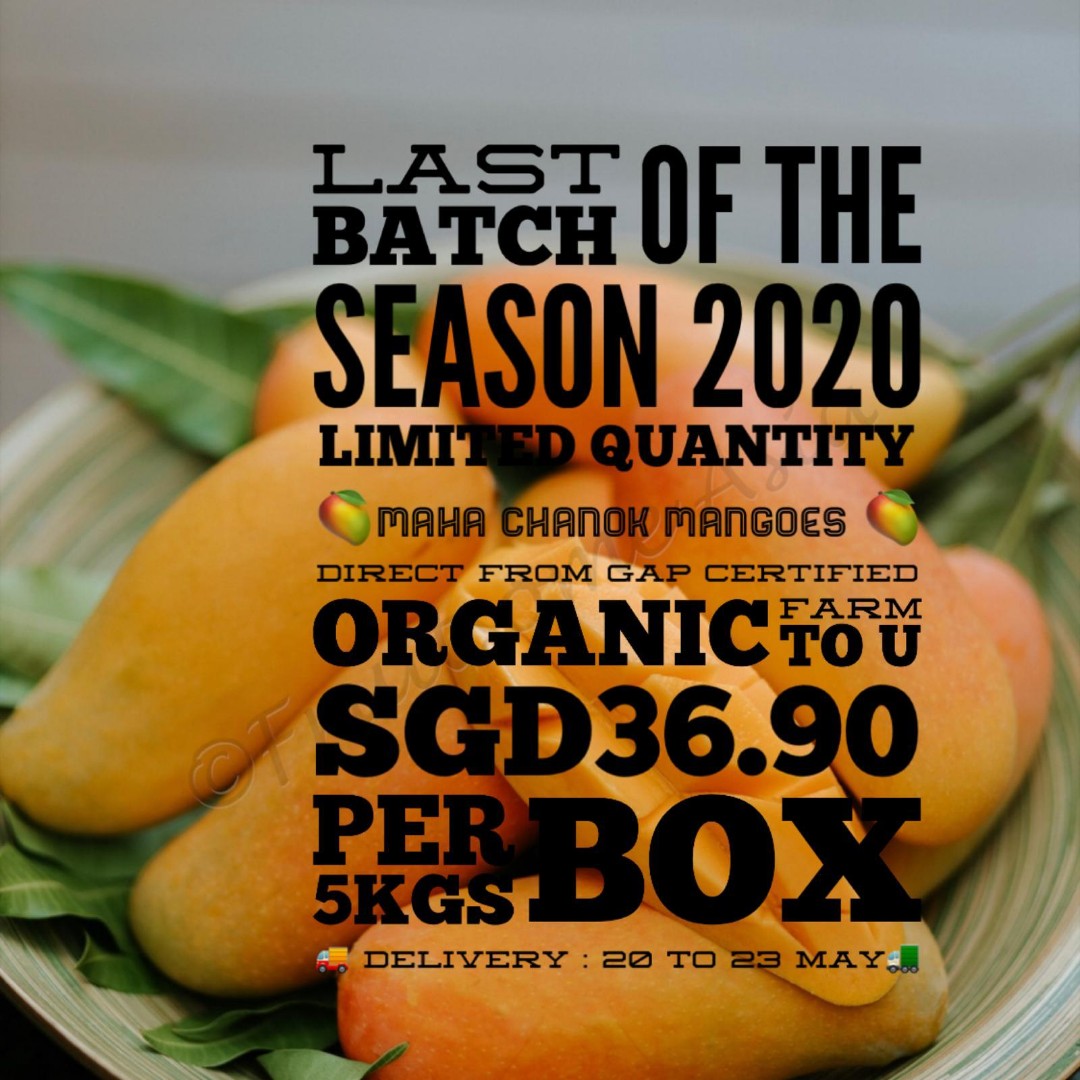 Maha Chanok mango, Food & Drinks, Local Eats on Carousell