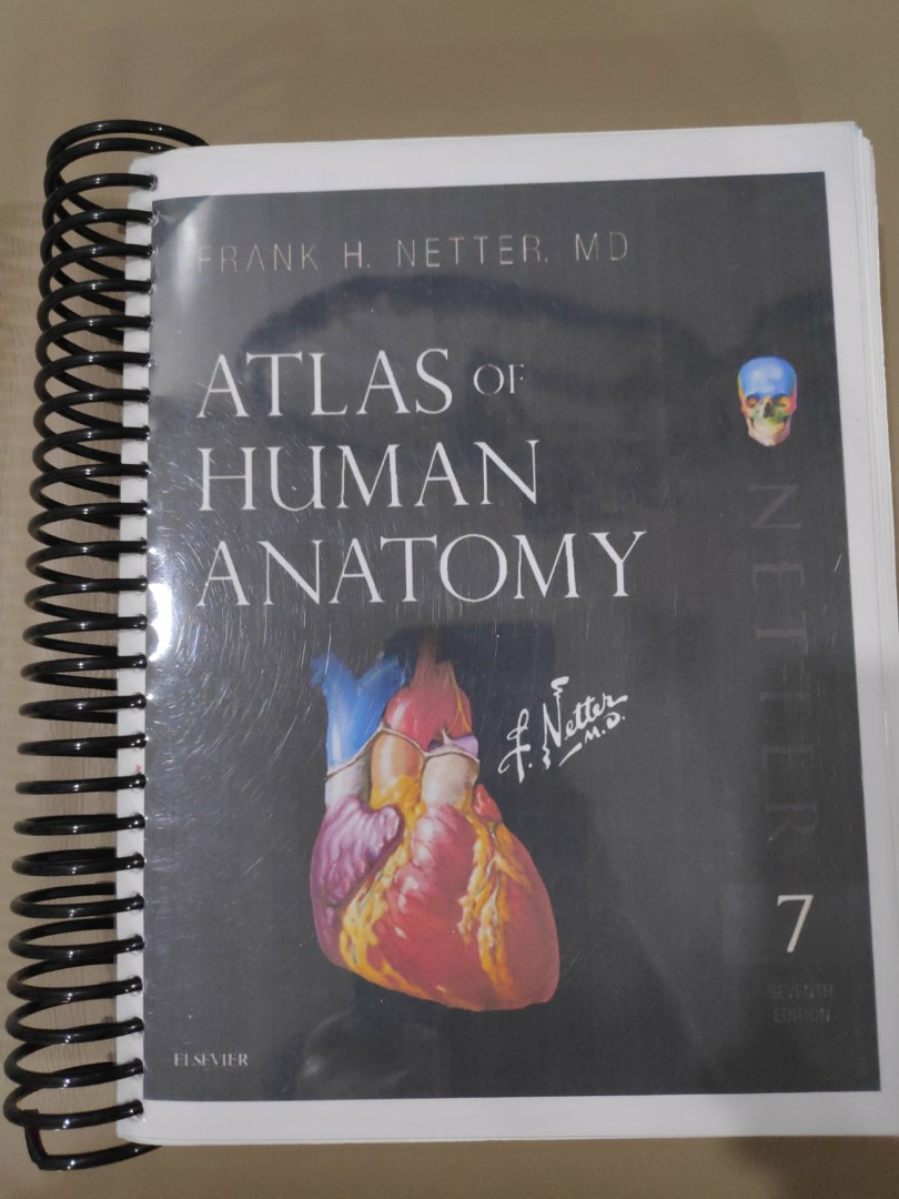 Netter Atlas 7th Edition (Anatomy), Hobbies & Toys, Books & Magazines ...