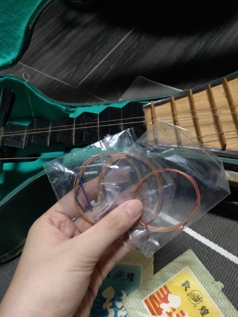 Pipa instrument with case, Hobbies & Toys, Music & Media, Musical ...