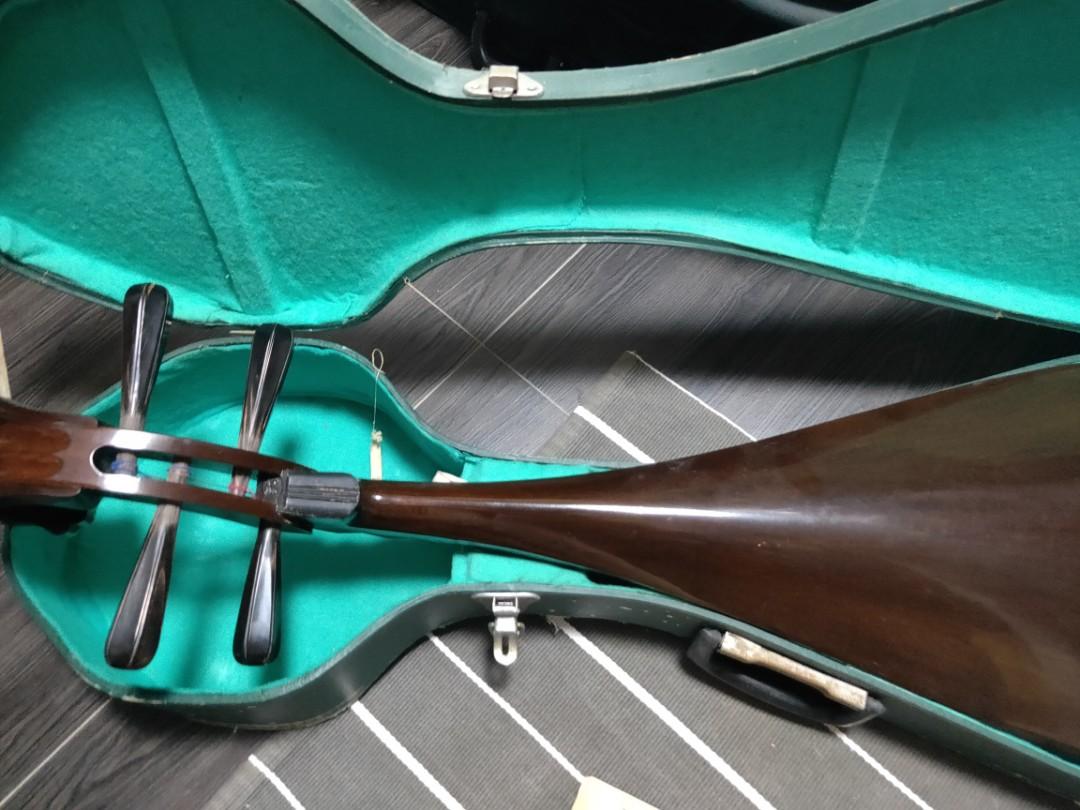 Pipa instrument with case, Hobbies & Toys, Music & Media, Musical ...