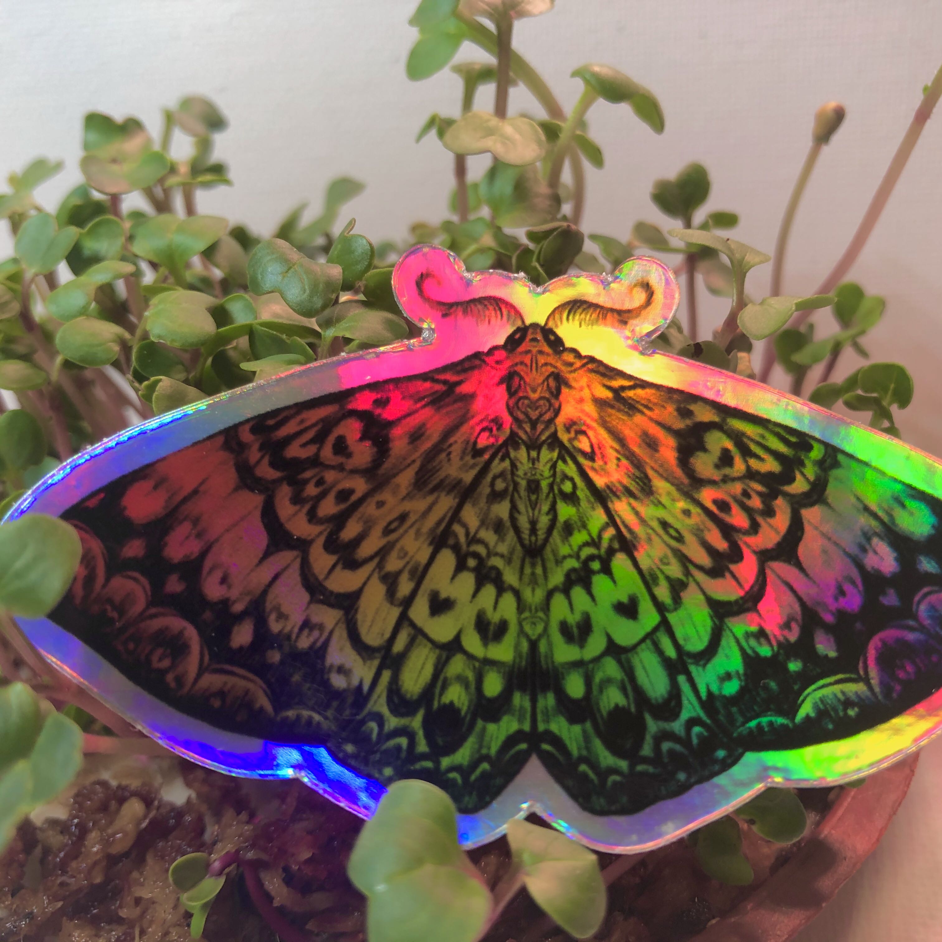 Holo Moth Sticker- holographic silver rainbow moth sticker design ...