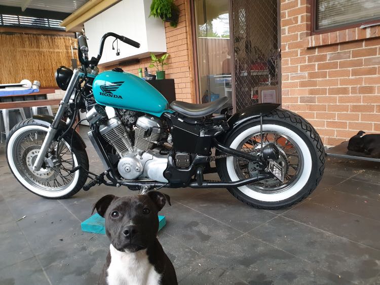 Biltwell Chumps Handlebar 1”, Motorcycles, Motorcycle Accessories on ...