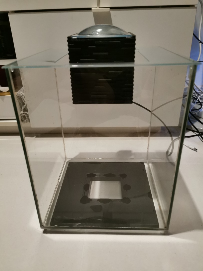 Fluval Chi fish tank 19l, Pet Supplies, Homes & Other Pet Accessories ...