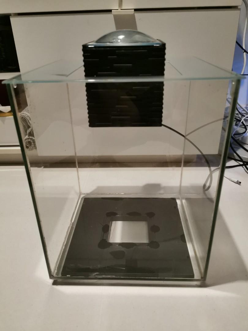 Fluval Chi fish tank 19l, Pet Supplies, Homes & Other Pet Accessories ...