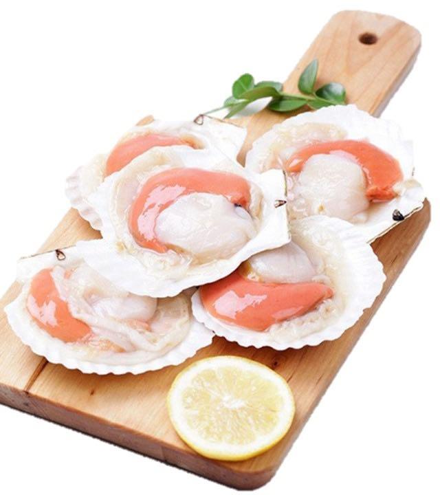 Half Shell Scallop with Roe, Food & Drinks, Chilled & Frozen Food on ...