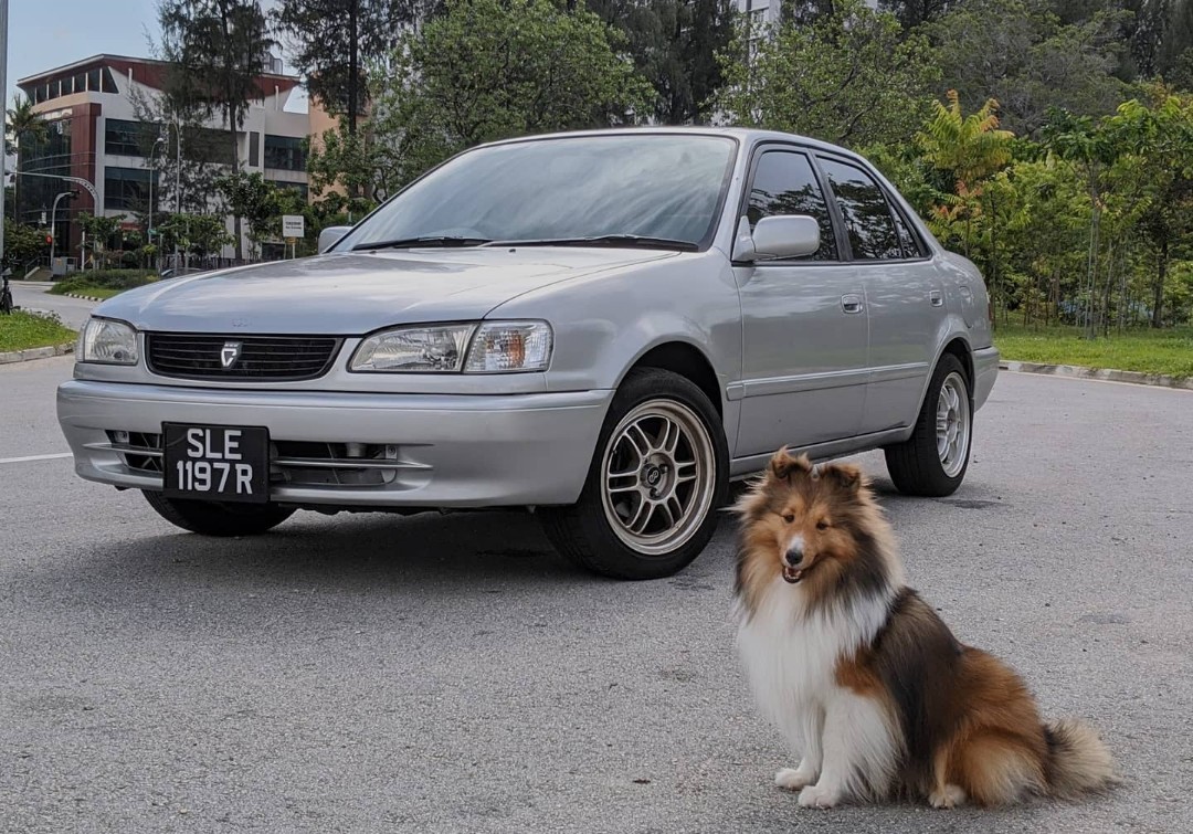 Toyota Corolla ee111 1.3m Manual, Cars, Used Cars on Carousell