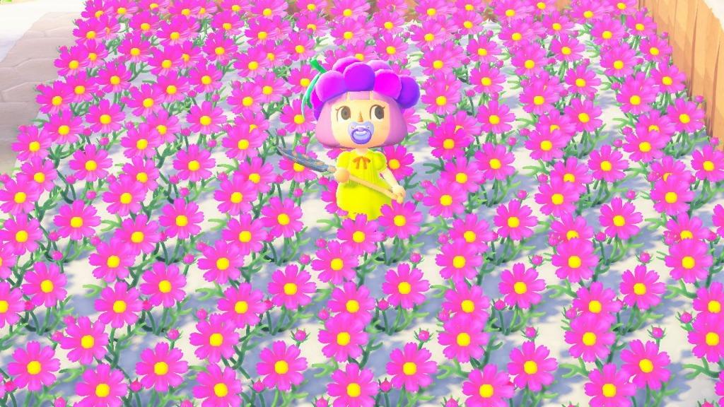 Gold Roses, Purple Hyacinths, & other hybrid flowers - Animal Crossing ...