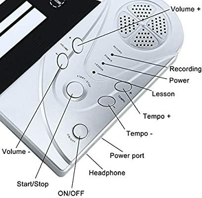 HAND ROLL PIANO 49K, Hobbies & Toys, Music & Media, Musical Instruments on Carousell