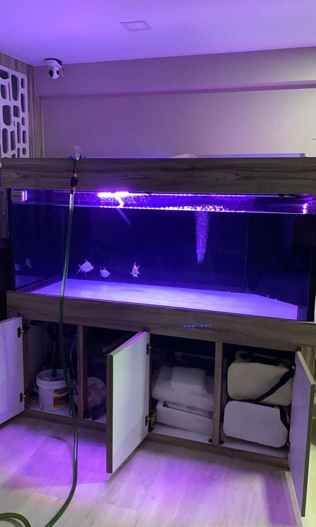 6ft by 3ft by 2.5ft fish tank with cabinet and 4ft Sump tank. Plug and ...