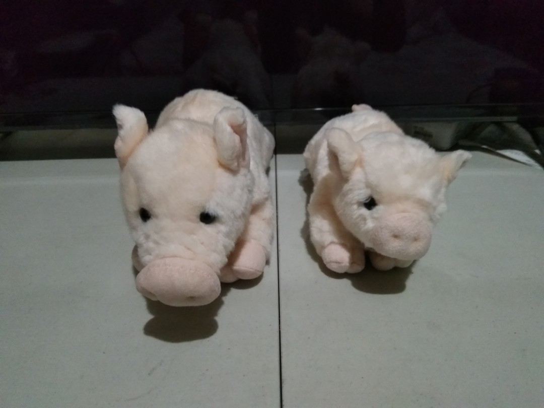 Aurora Miyoni Peach Pig Plush Set, Hobbies & Toys, Toys & Games on ...