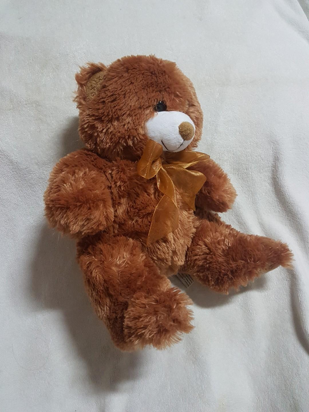 Authentic Coogee Brown Teddy Bear Plush Soft Toy, Hobbies & Toys, Toys ...