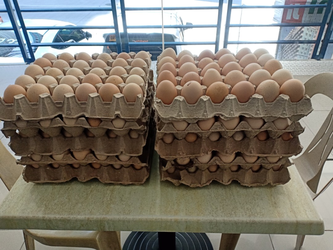 Native Eggs #InQC, Food & Drinks, Fresh Produce on Carousell