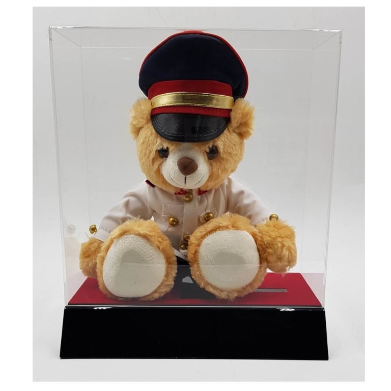 Acrylic Display Box (Bear), Hobbies & Toys, Memorabilia & Collectibles ...