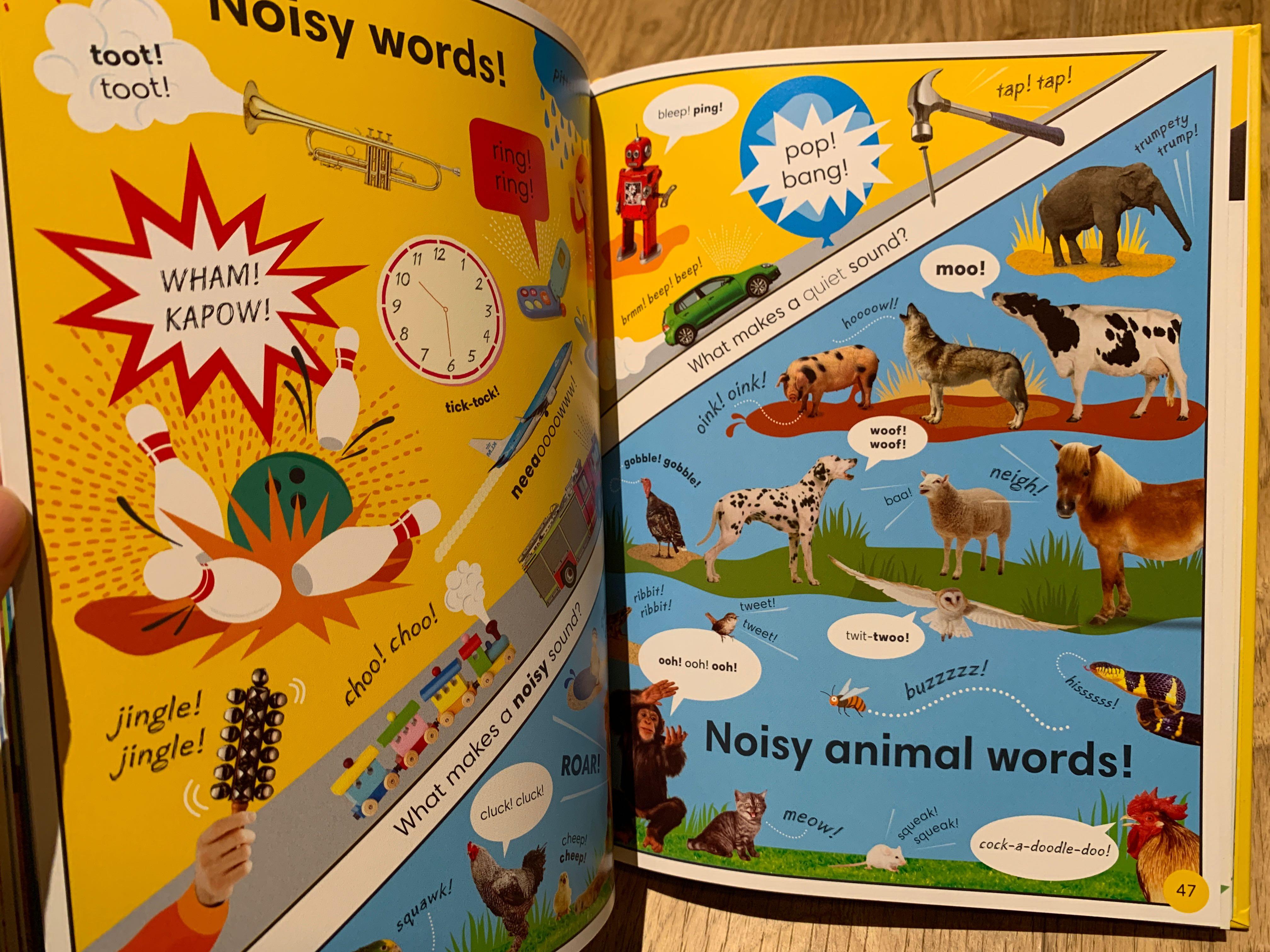 DK dictionary 1000 useful words, Hobbies & Toys, Books & Magazines ...