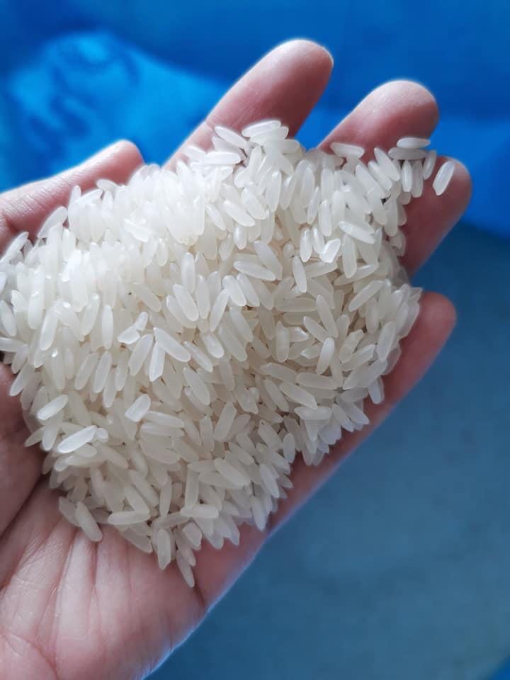Hasmin/Jasmin Rice, Food & Drinks, Fresh Produce on Carousell