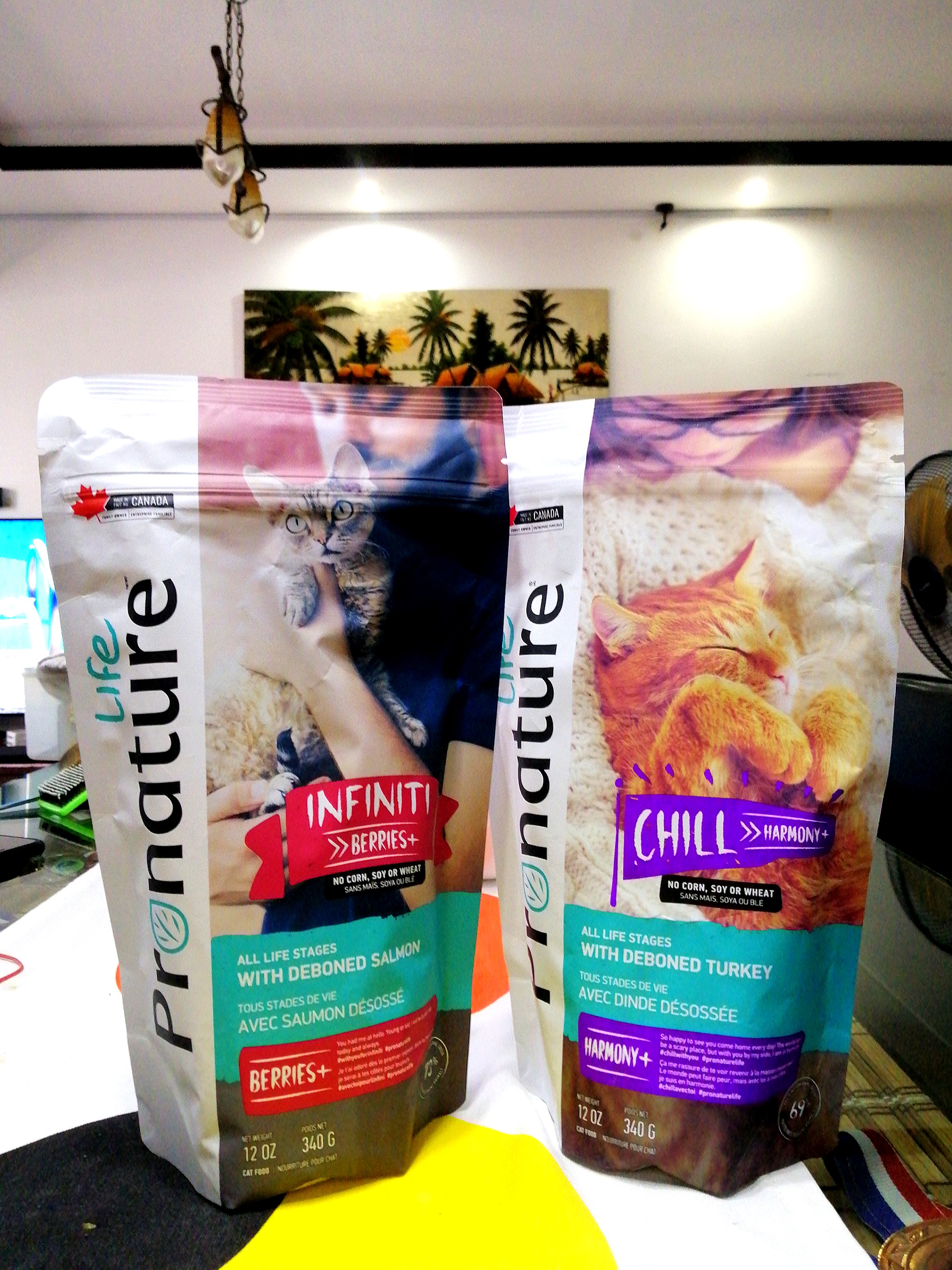 Pronature Cat Food (Salmon and Turkey Kibble), Pet Supplies, Pet Food ...