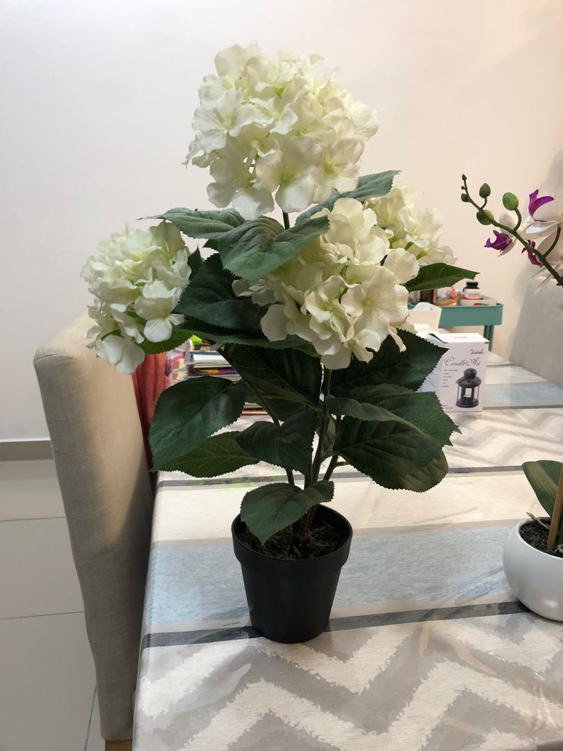 SSF plants, Furniture & Home Living, Home Decor, Artificial Plants ...