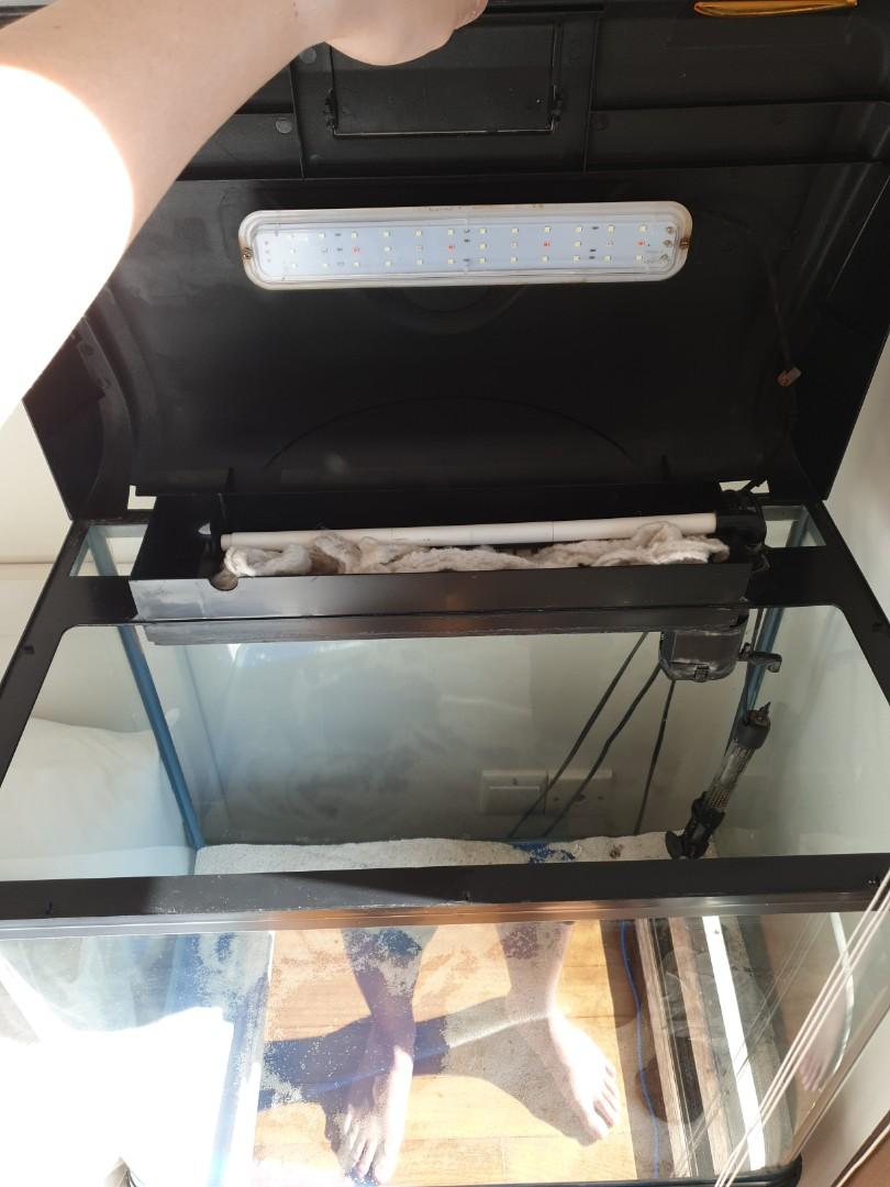 Stand alone fish tank, Pet Supplies, Homes & Other Pet Accessories on ...