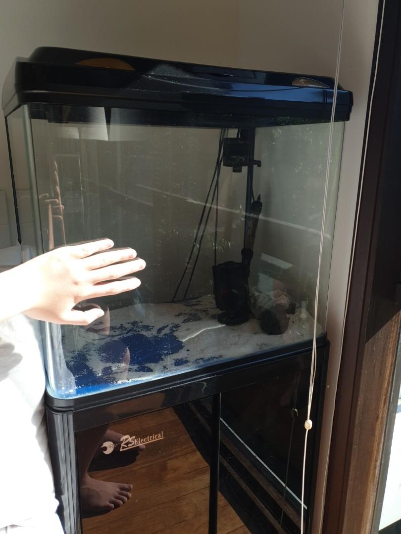 Stand alone fish tank, Pet Supplies, Homes & Other Pet Accessories on ...