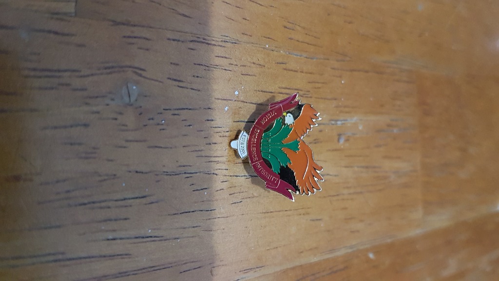 Unity Secondary School Badge, Hobbies & Toys, Memorabilia ...