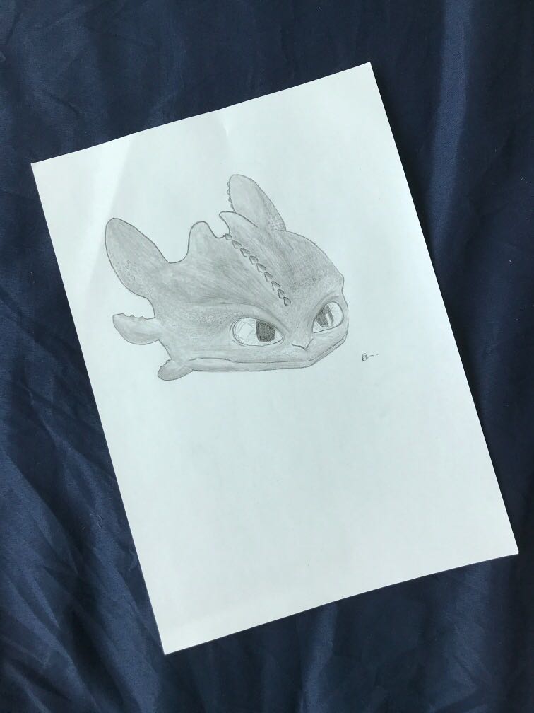 HTTYD Toothless drawing, Design & Craft, Handmade Craft on Carousell