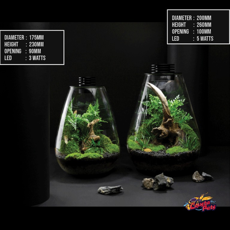 NOT Baiosphere, Mossarium Light LED, Moss Light., Furniture & Home ...