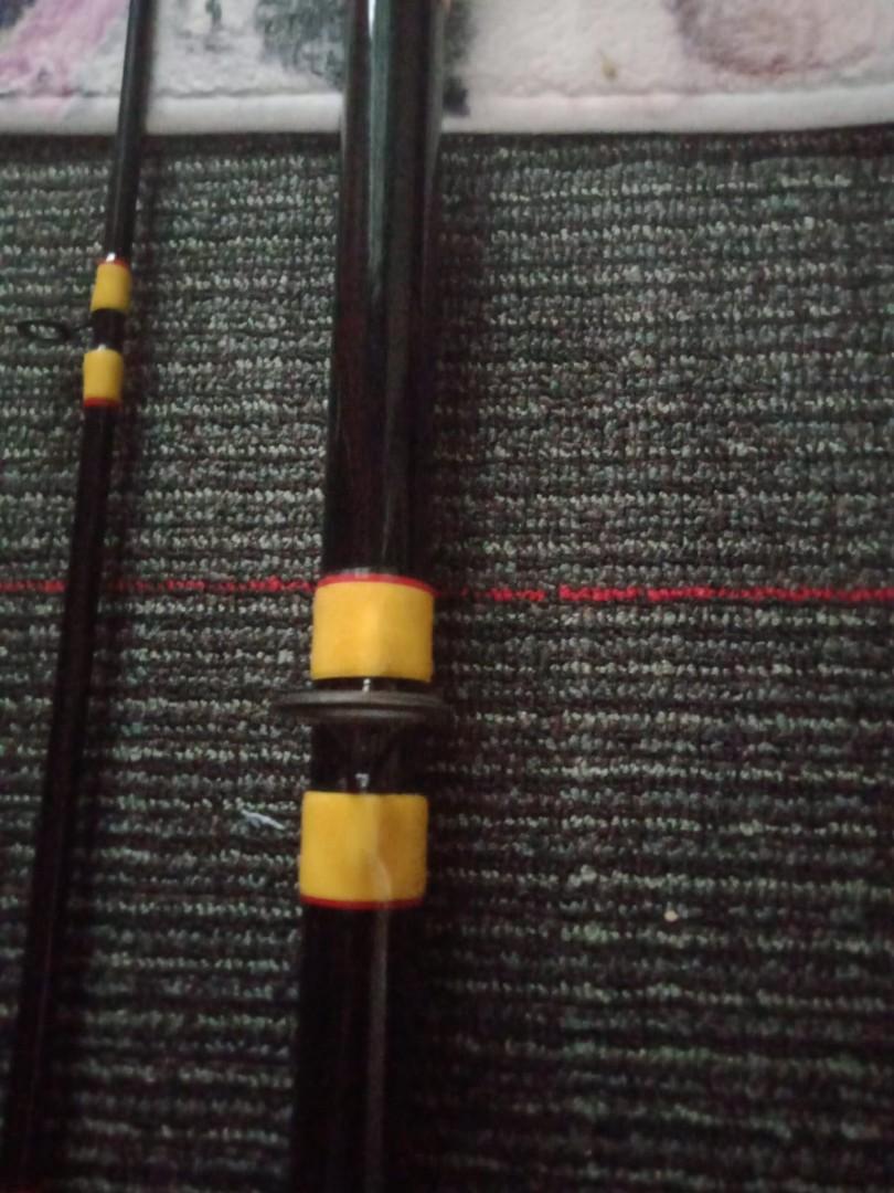 Penn ppt pendulum, Everything Else on Carousell