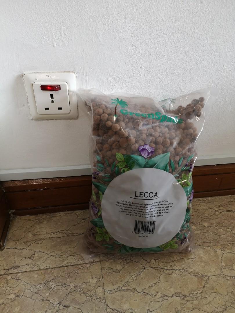 Lecca 5L, Furniture & Home Living, Gardening, Garden Soil & Fertilisers ...