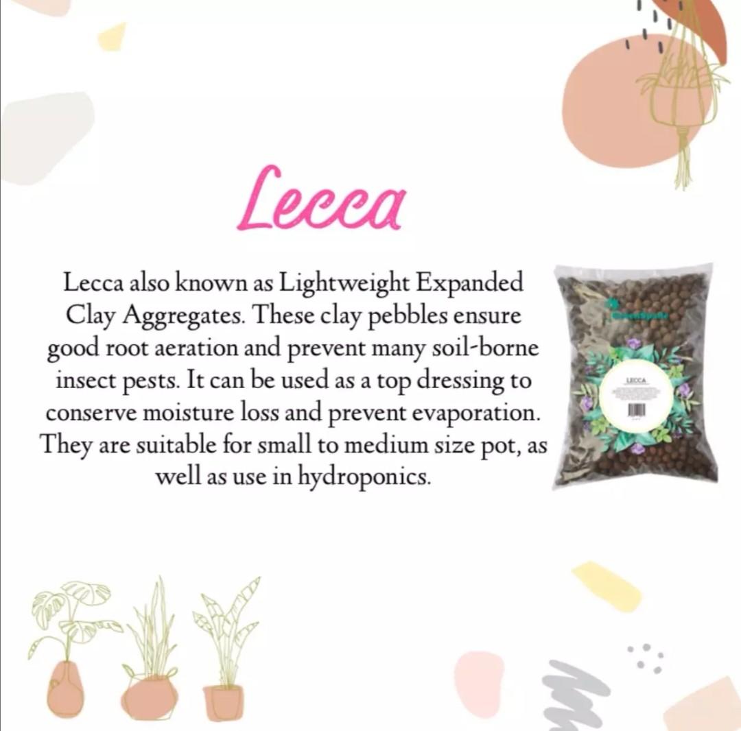 Lecca 5L, Furniture & Home Living, Gardening, Garden Soil & Fertilisers ...