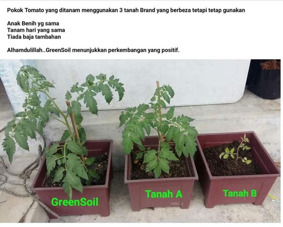 BAJA TANAMAN GREEN SOIL, Furniture & Home Living, Gardening, Garden ...
