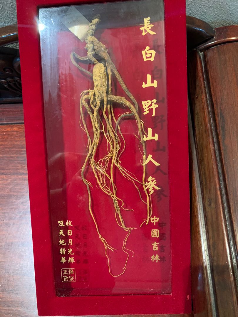 Chang Bai Shan Ginseng, Everything Else on Carousell
