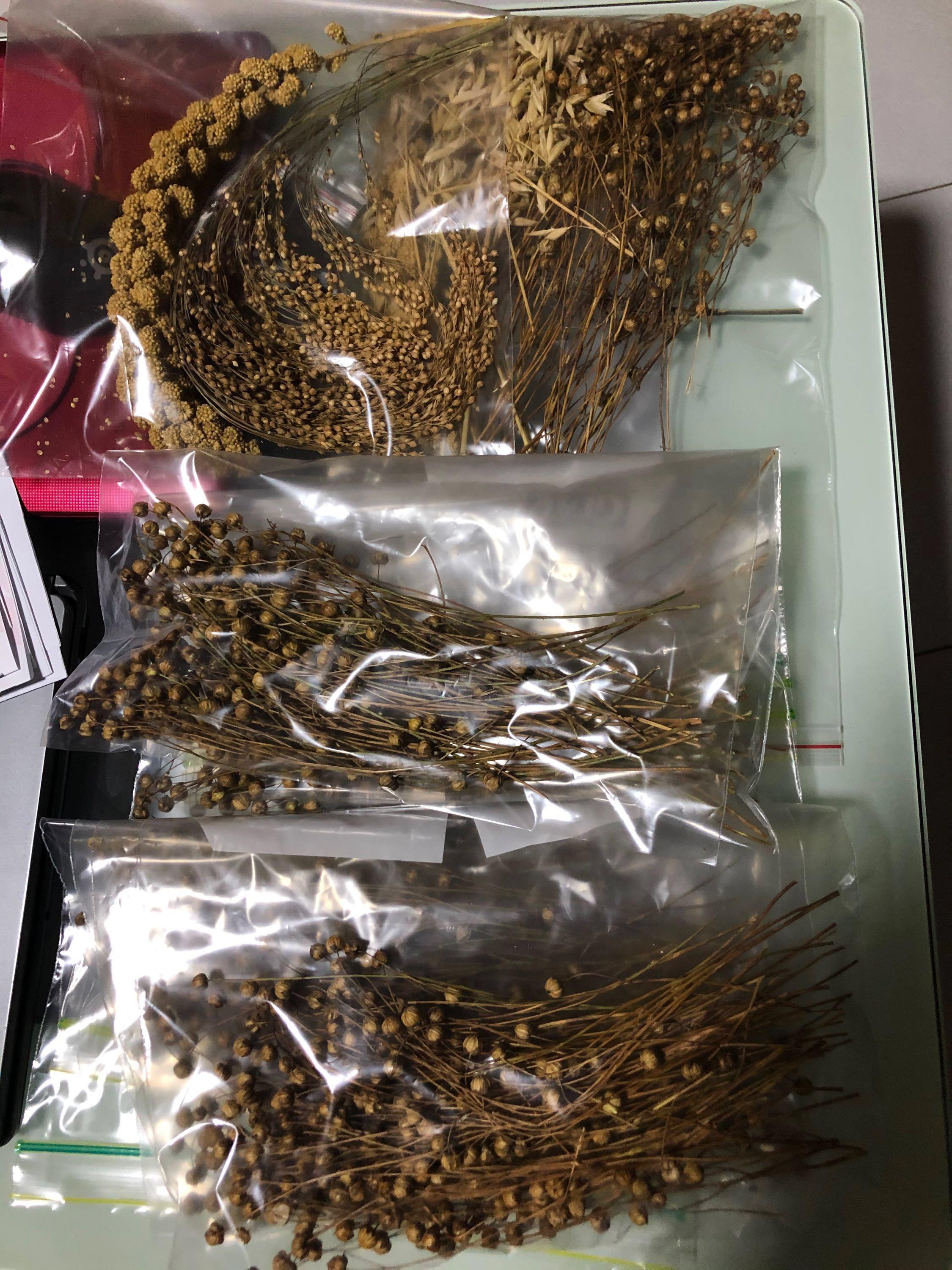 100g flax spray millet spray oat spray piston millet spray for hamsters ...