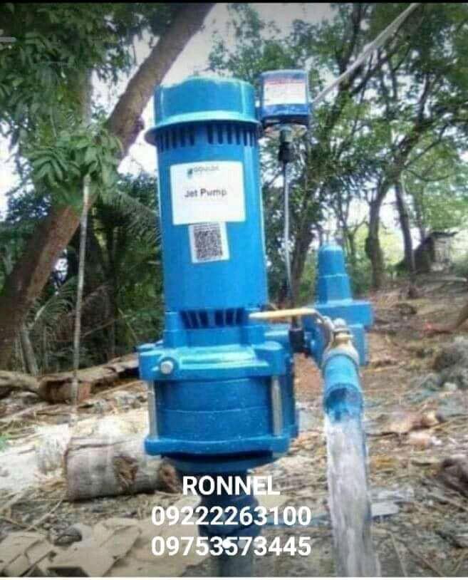 Goulds 2HP vertical deep well Pump, Looking For on Carousell