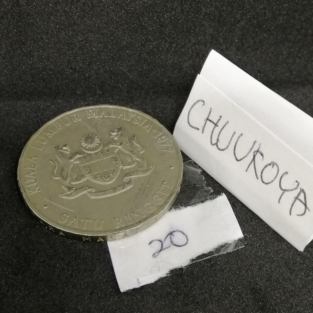 Malaysia old coin RM1 Ringgit, Hobbies & Toys, Collectibles ...