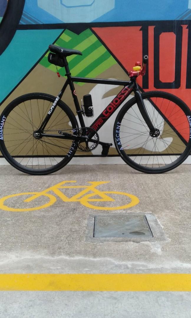 Colossi Lowpro Wishbone edition, Bicycles & PMDs, Bicycles, Fixies on ...