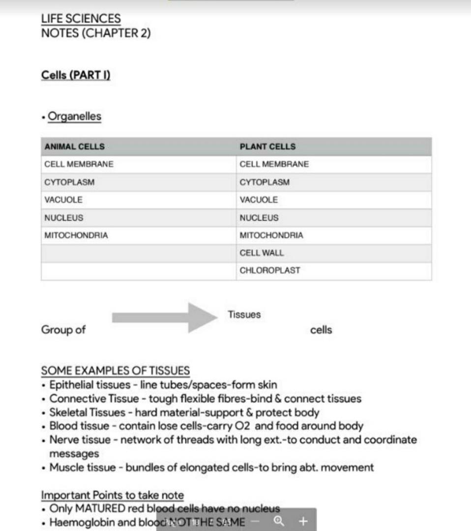 Sec 1 Biology/Life Science Notes, Hobbies & Toys, Books & Magazines ...