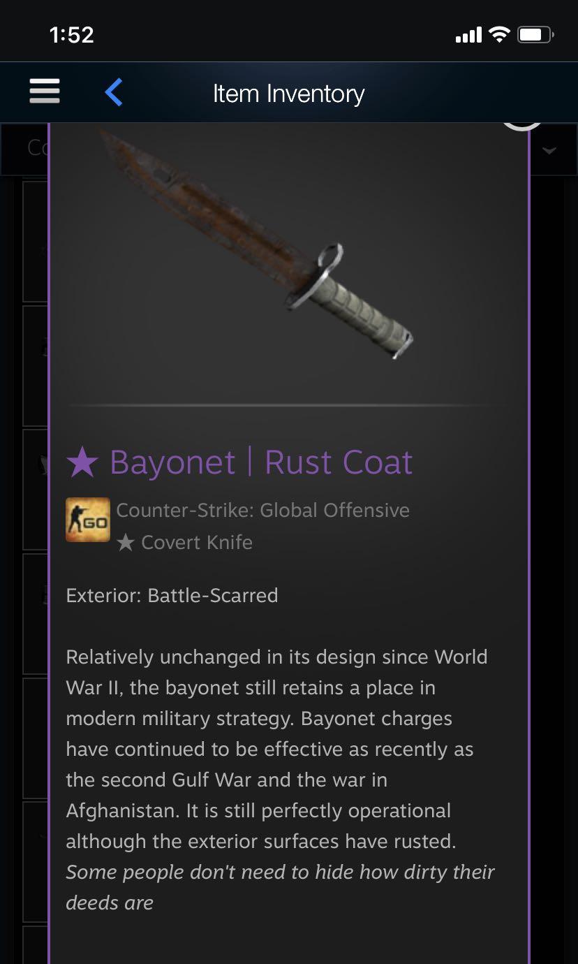 Bayonet Rust Coat, Video Gaming, Gaming Accessories, Game Gift Cards ...