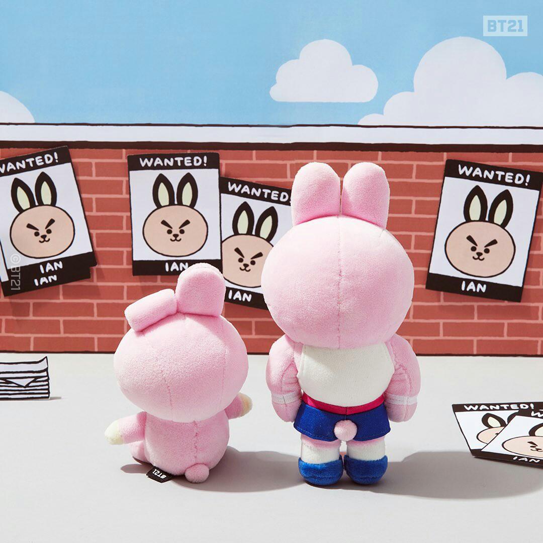 BT21 COOKY FAMILY SET LINEFRIENDS UNIVERSTAR OFFICIAL PREORDER, Hobbies ...