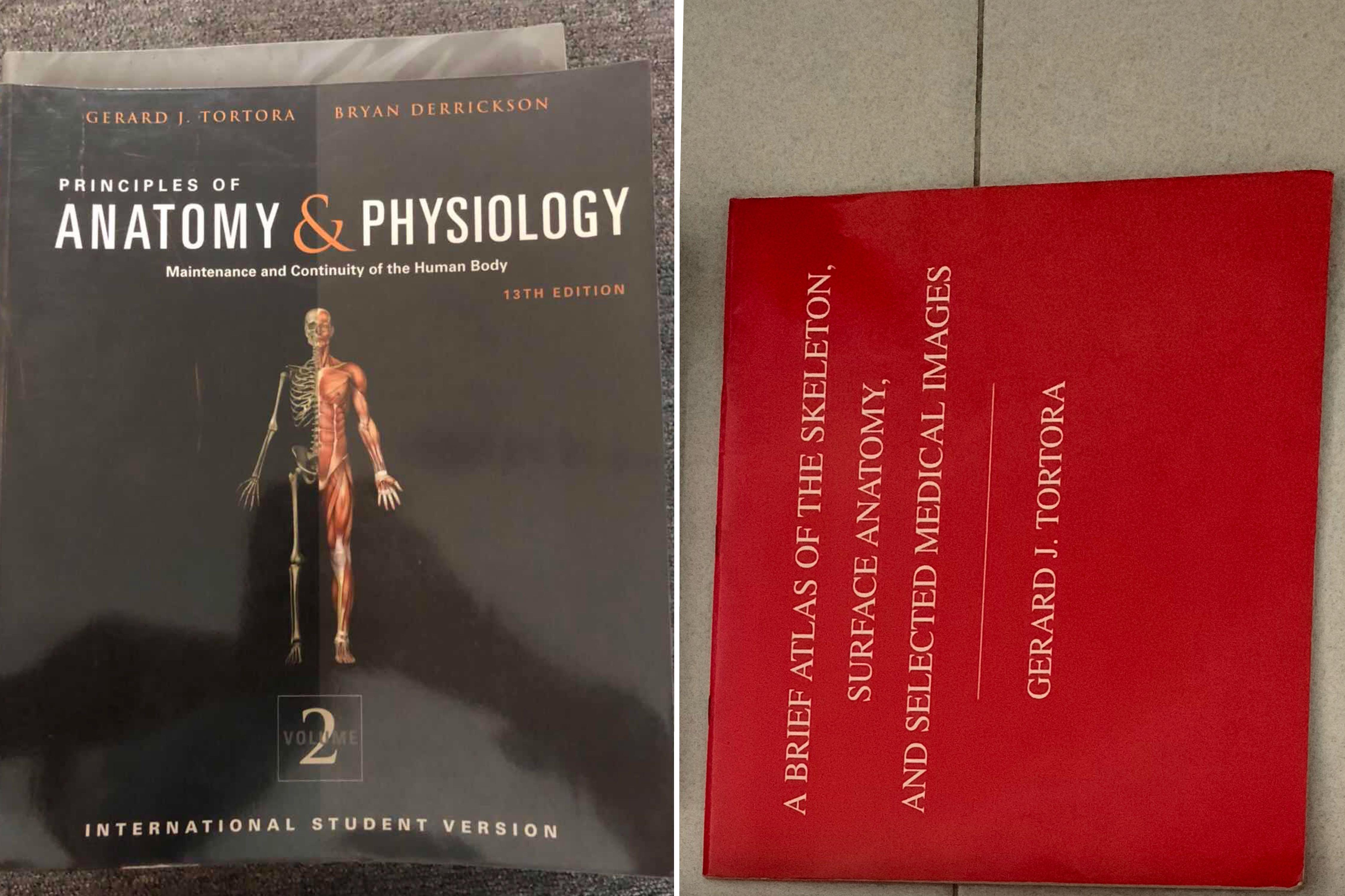 Physiotherapy Books + Littmann Stethoscope + Reflex Hammer + Goniometer ...