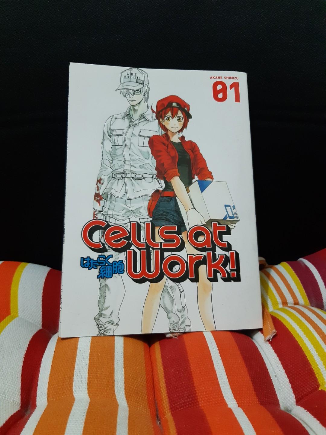 English manga - Cell At Work vol 1, Hobbies & Toys, Books & Magazines ...