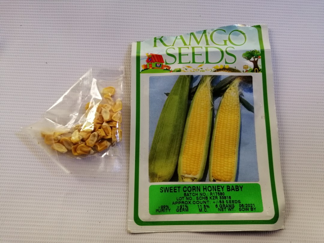 Repacked ramgo seeds, Furniture & Home Living, Gardening, Gardening ...