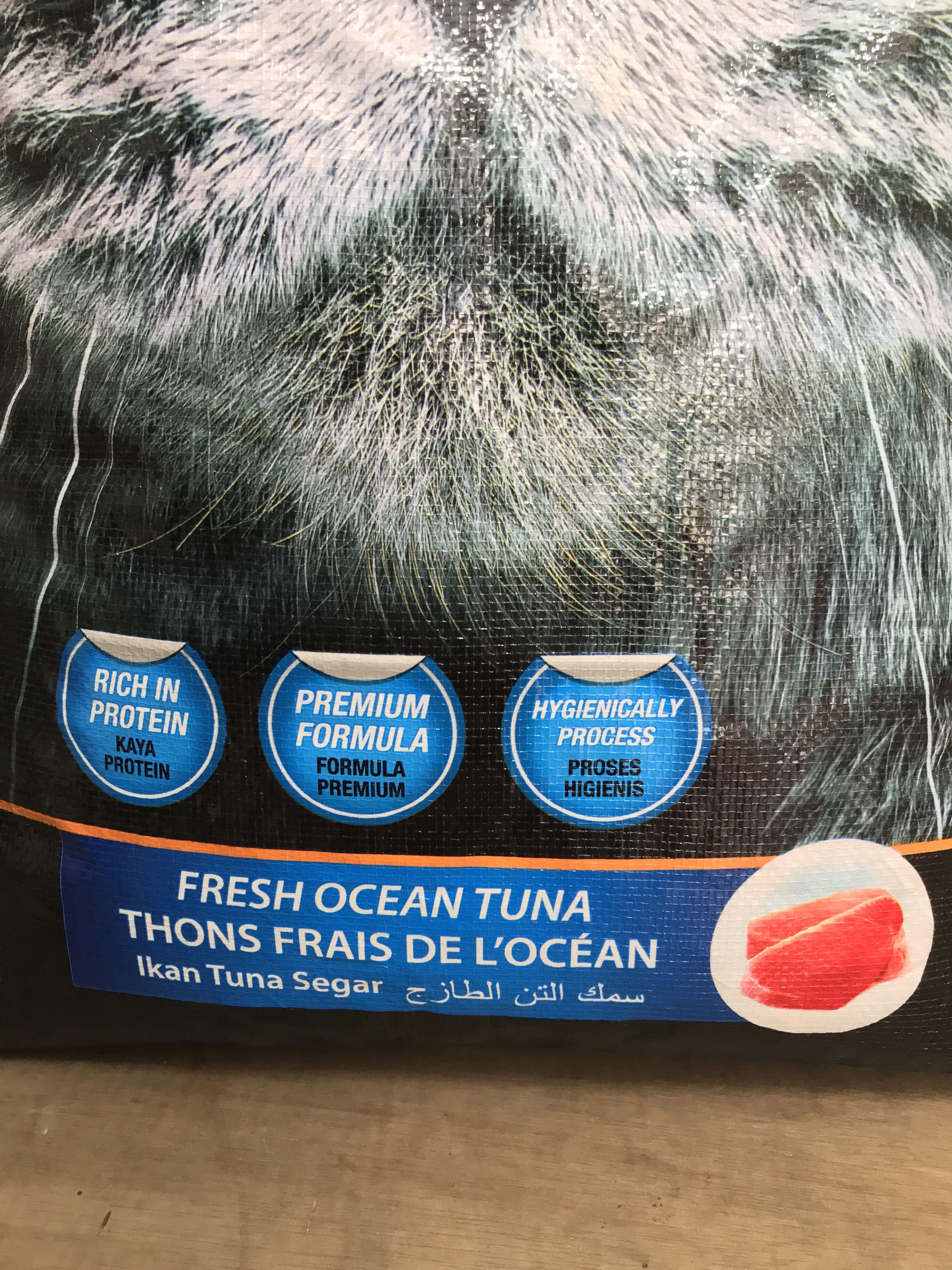 Power Cat Ocean Fish Organic Kitten and Adult Cat Food, Pet Supplies ...