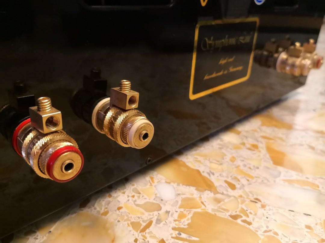 Symphonic Line Rg 1 MK II power amplifier, Audio, Other Audio Equipment ...