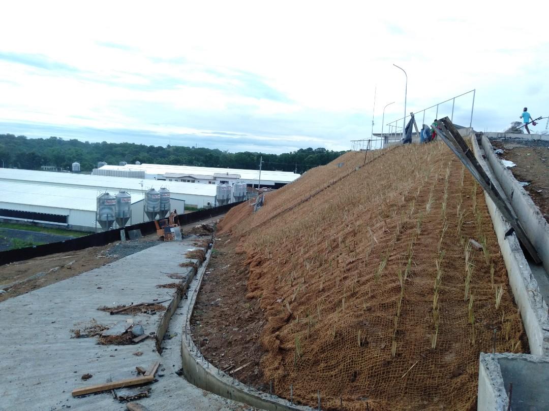 CocoNets and Vetiver grass For Slope Protection, Commercial ...