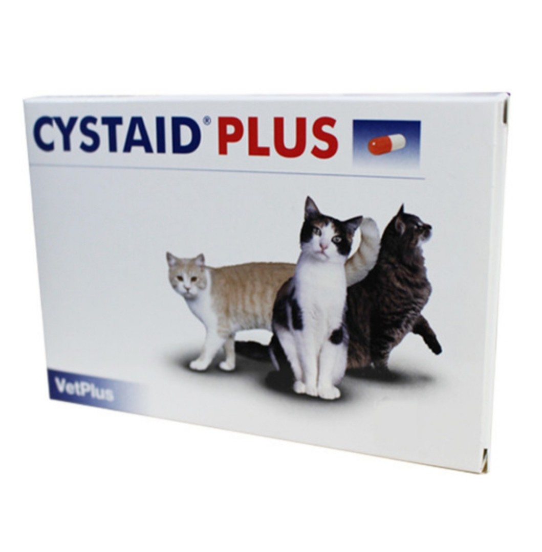 Cystaid Plus 30 capsule, Pet Supplies, For Cats, Cat Food on Carousell