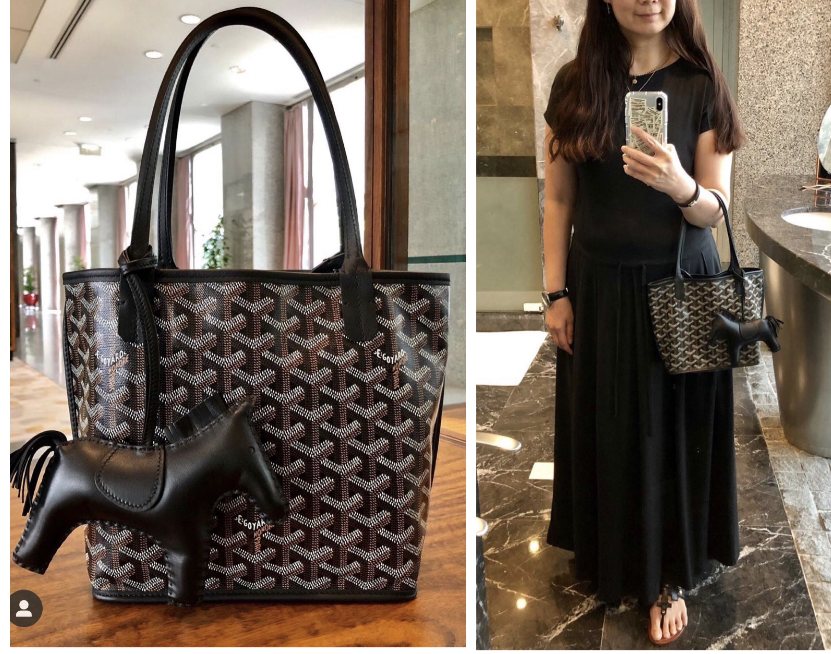 Jenis Jenis Goyard Mini Anjou Beli Disini Lavergne id