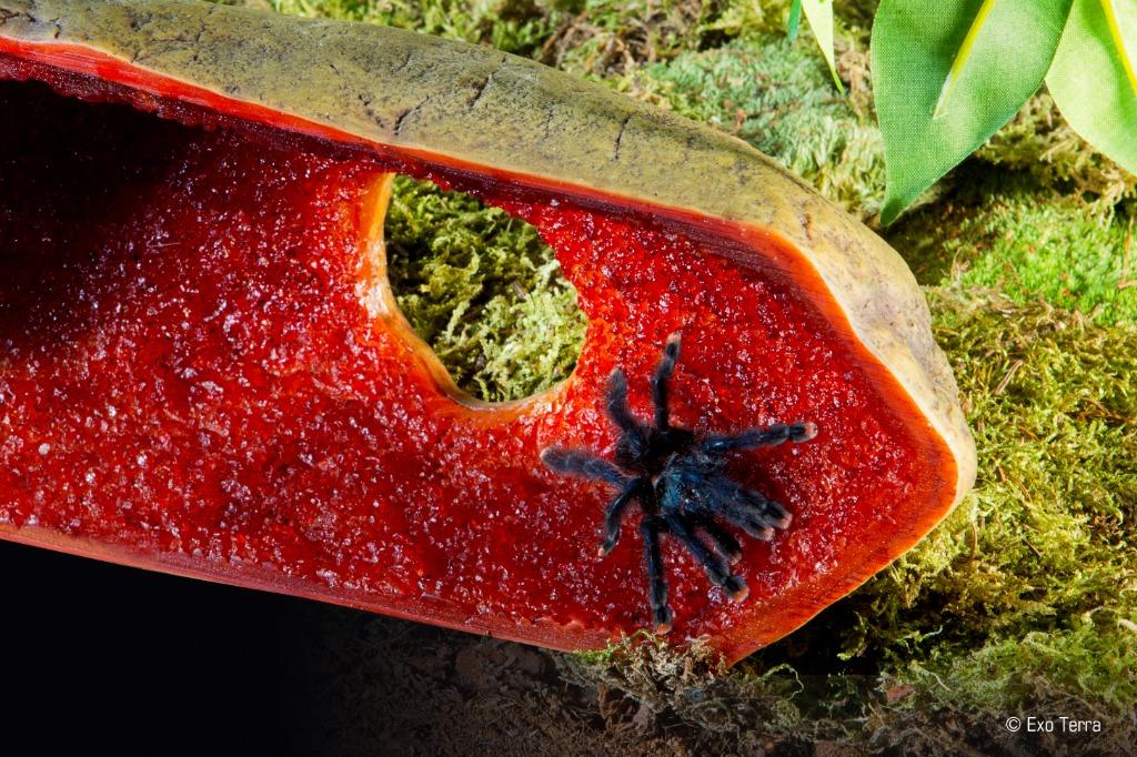 CRYSTAL CAVE / DECORATIVE REPTILE HIDE EXO TERRA PT2867, Pet Supplies ...