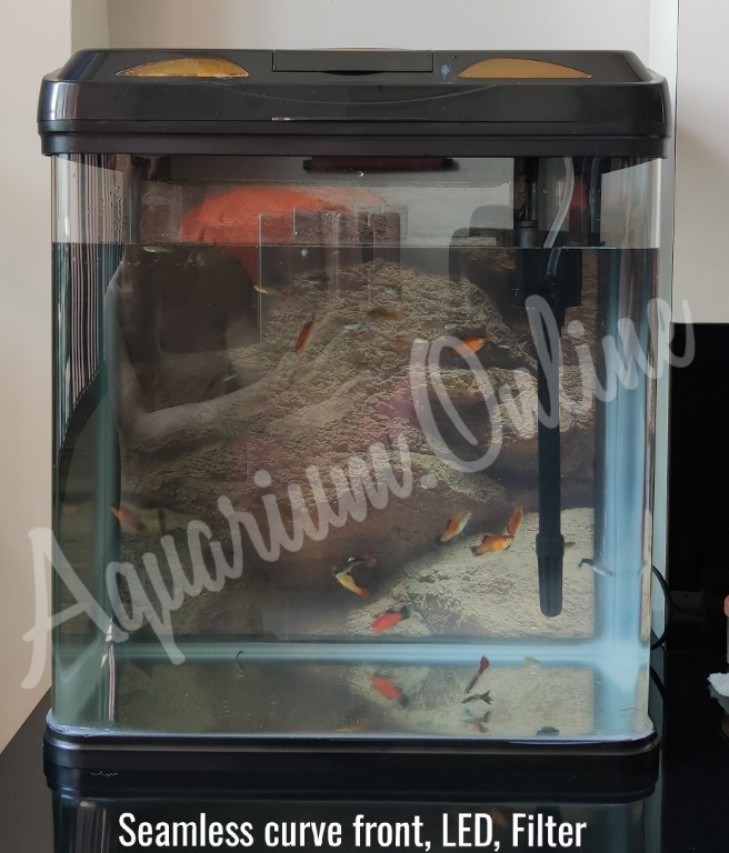 Offer! 20 litre Aquarium Fish Tank Set *Brand New, Pet Supplies, For ...