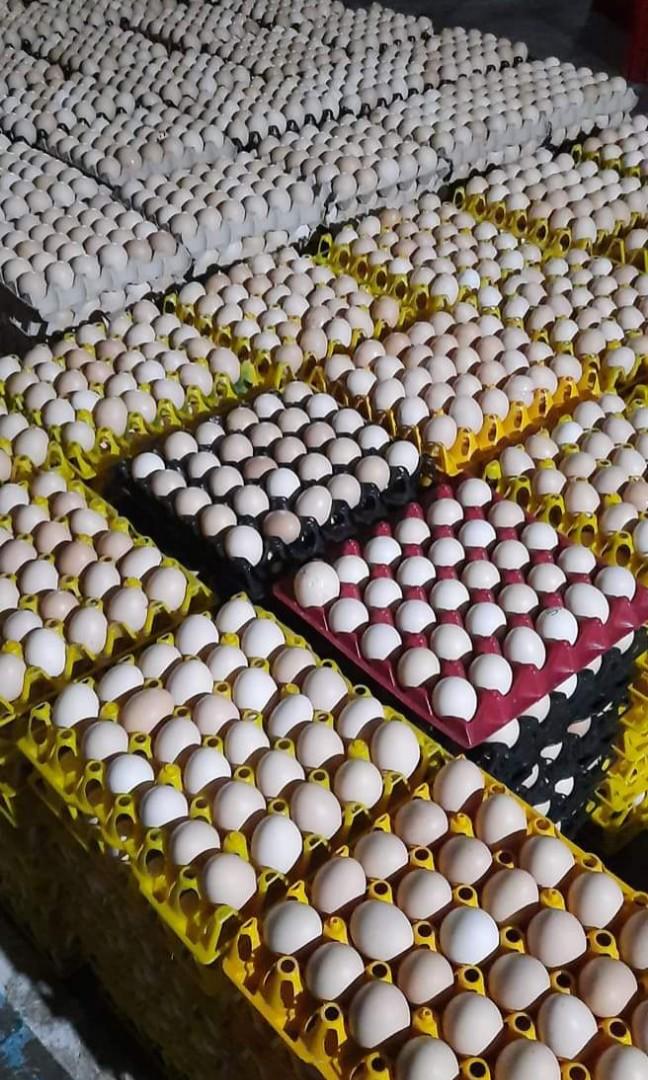 Native Eggs #InQC, Food & Drinks, Fresh Produce on Carousell