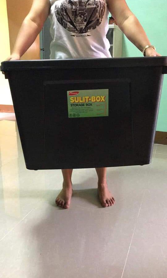 Storage box 125 liters, Furniture & Home Living, Furniture, Shelves ...